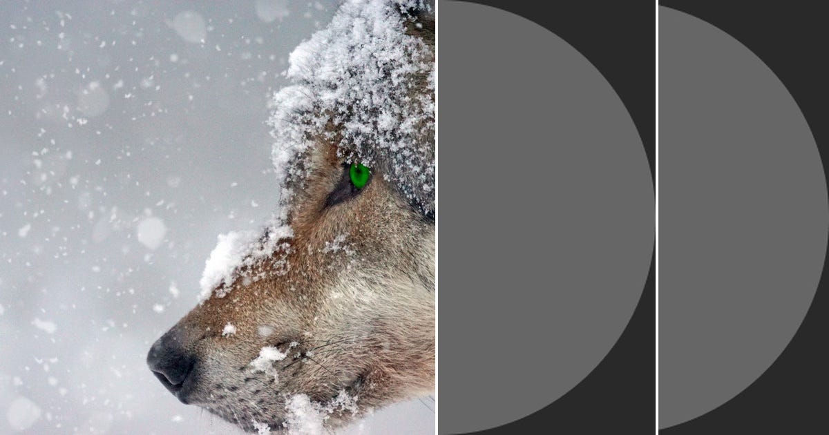 List: Numpy | Curated by BHD | Medium