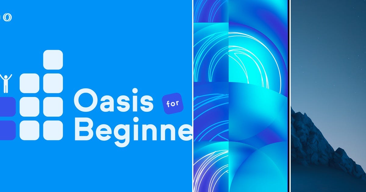 List: Oasis Labs | Curated by Kevin Walton | Medium