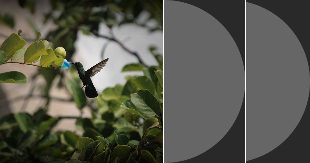 List: Dart | Curated by Vishal rajak | Medium