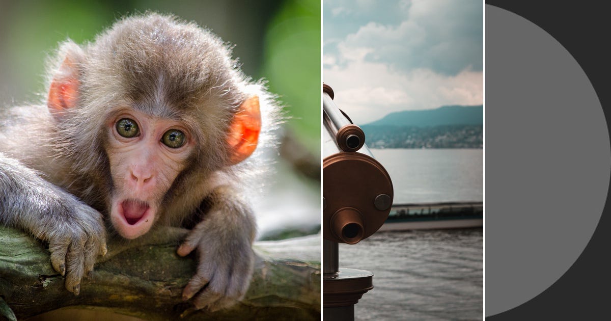 List: Ecosystems for funding regeneration | Curated by Ben Roberts | Medium