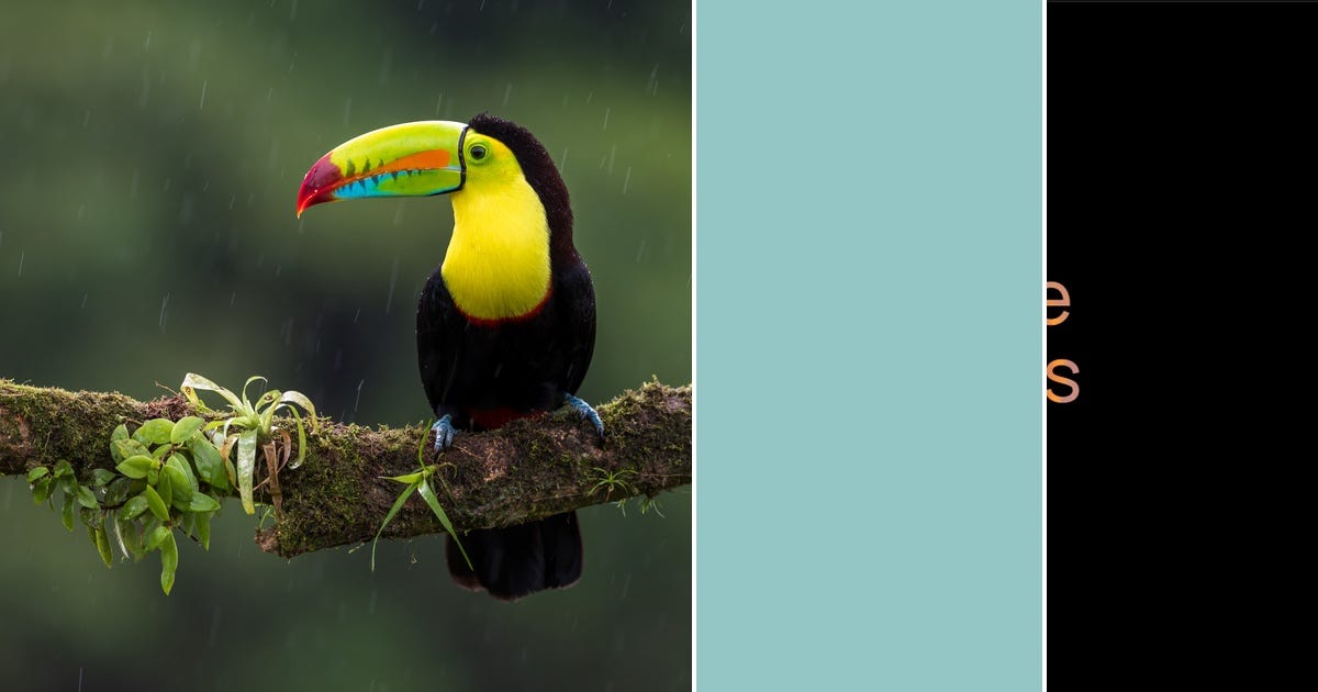 List: ChatGPT | Curated by Maneesh Kumar | Medium