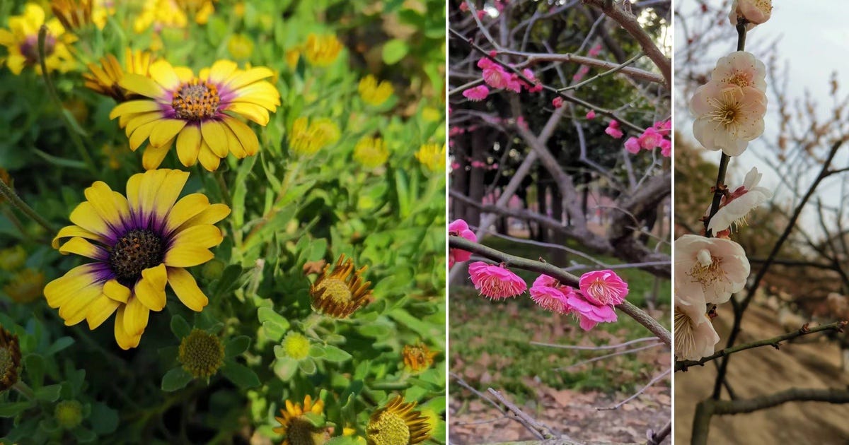 List: nature & life | Curated by Wayne Shi | Medium