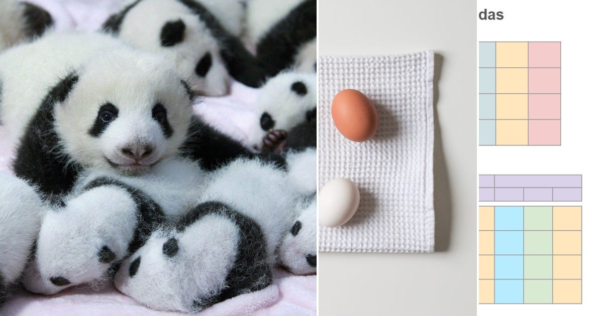 List: Pandas | Curated by Mark Gunnels | Medium