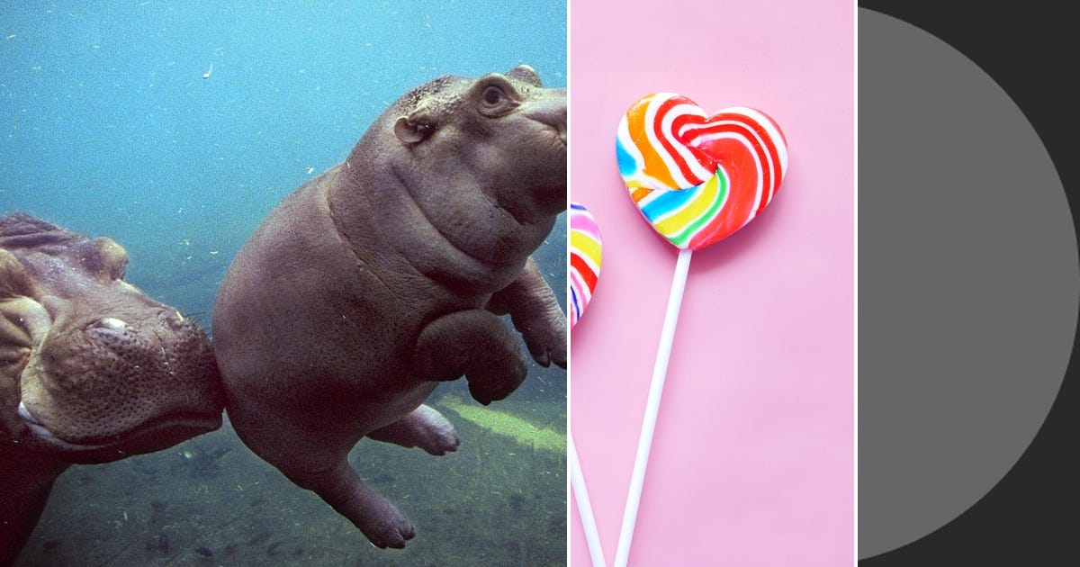 List: Behavioural Science 🧠 | Curated by Lucy Rothwell | Medium