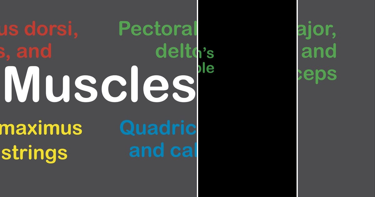 List: S&C | Curated by Tom Haynes | Medium