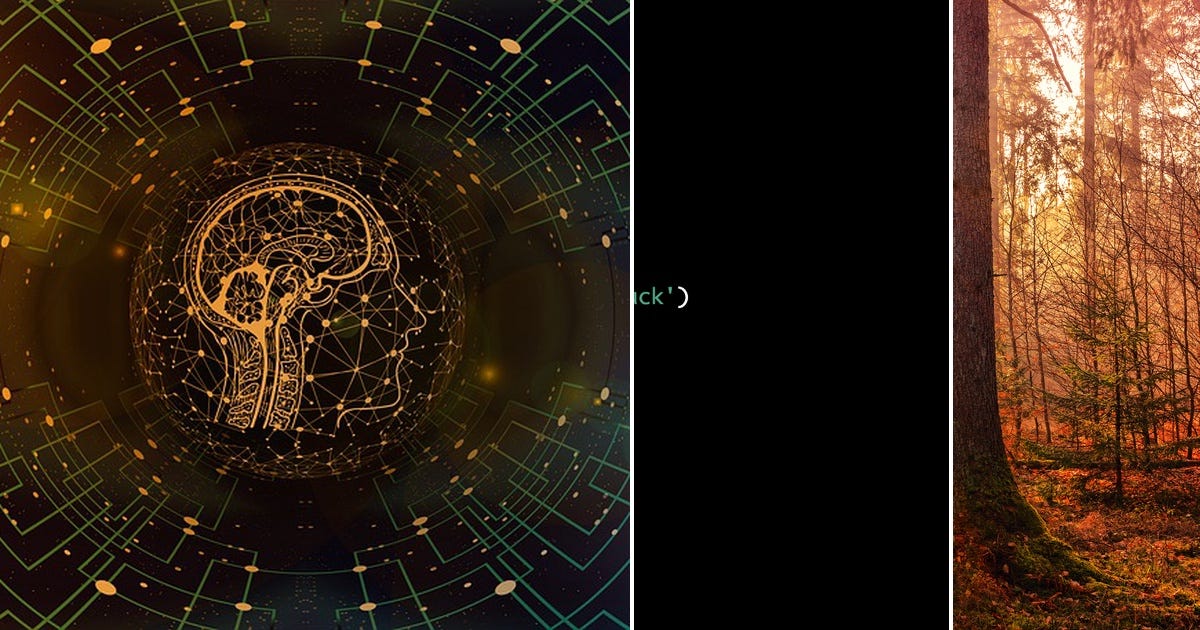 List Exploratory Data Analysis Curated By Averette Avalea Lidzy Medium