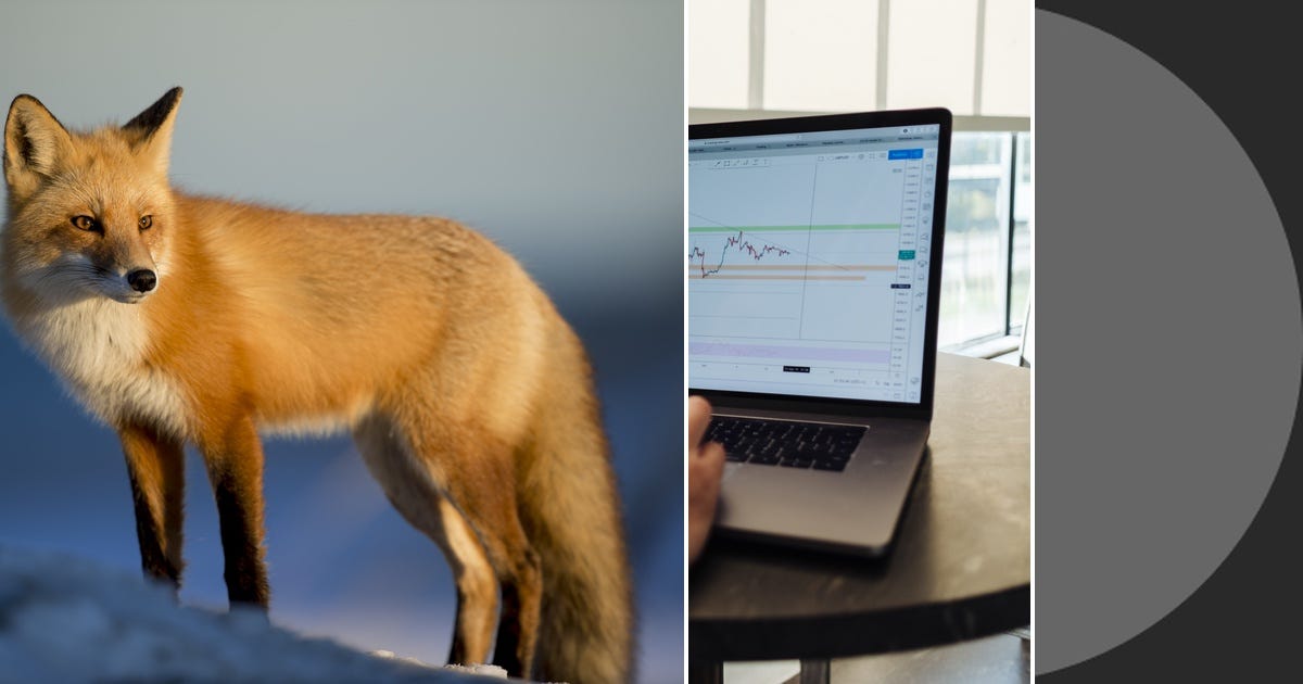 List: fb prophet | Curated by Graeme Torrance | Medium