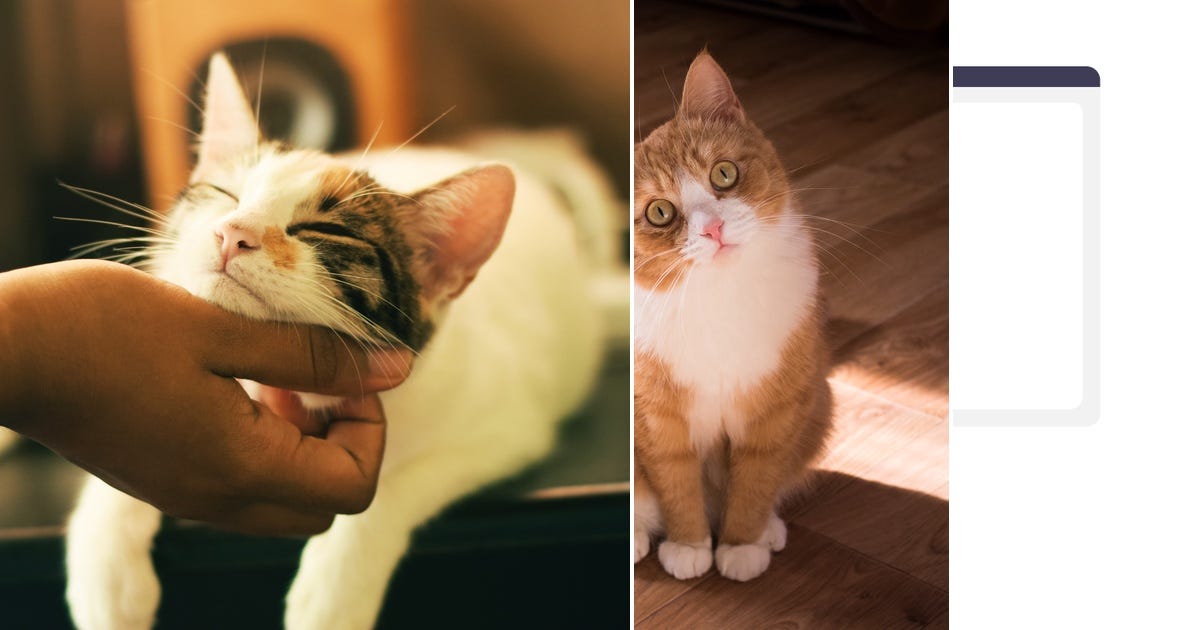 List: WILT | Curated by Nazere Wright | Medium