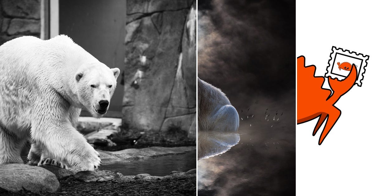 List: Rust | Curated by PythonGeek90 | Medium