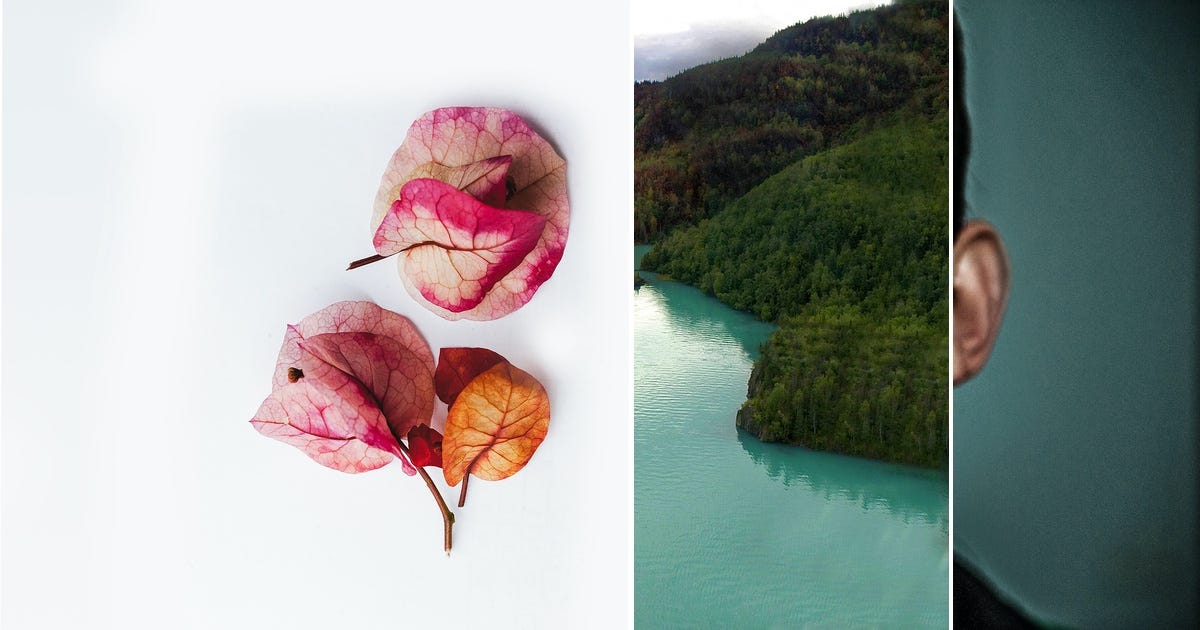 List: Boosted Stories | Curated by Grace Delphia | Medium