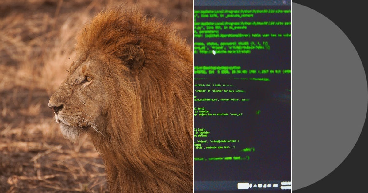 List: coding | Curated by Thomas | Medium