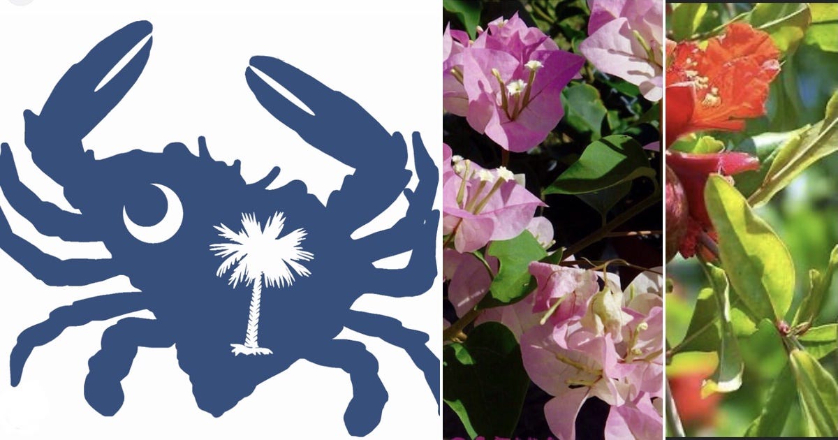 List: Gardening | Curated by Judith Redfearn | Medium