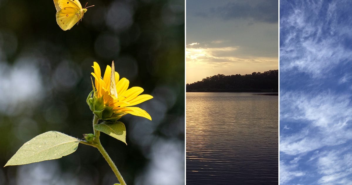 List: Haiku Diary | Curated by Flóra | Medium