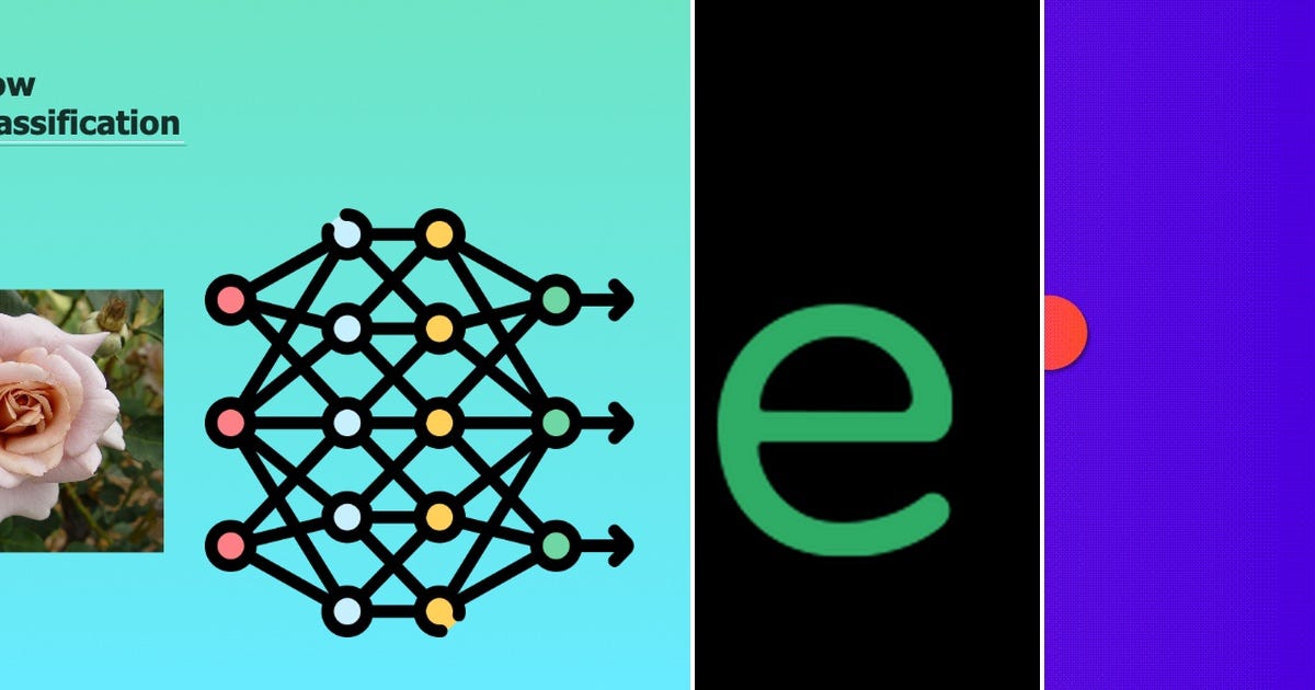 List: Image Classification using Few-Shot Learning | Curated by ...