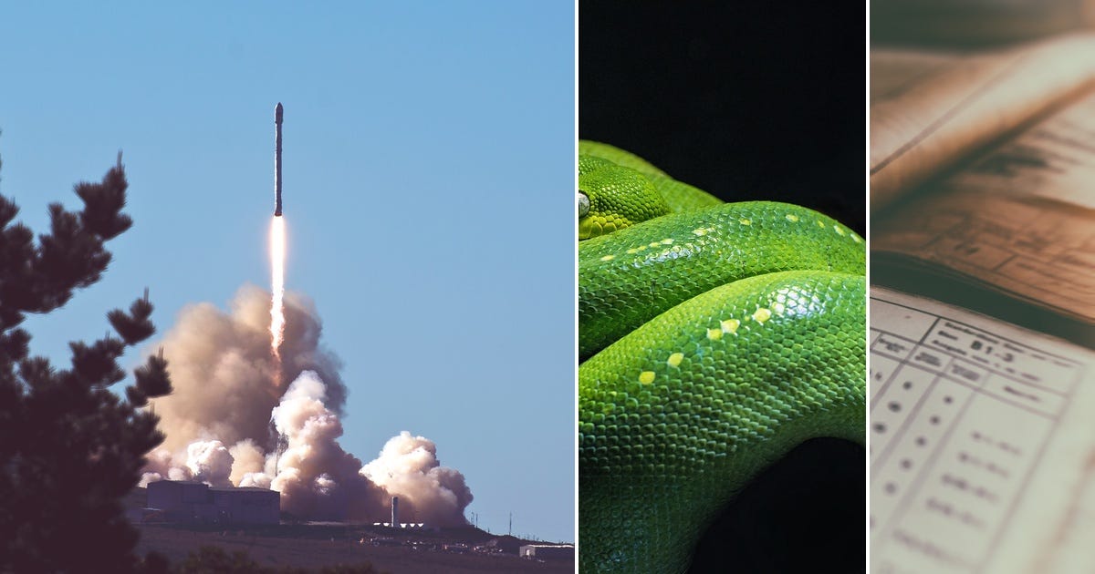 List: PDF scrap | Curated by Daniel Genter | Medium