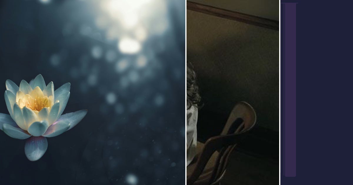 List: what i’ve read | Curated by harry w | Medium