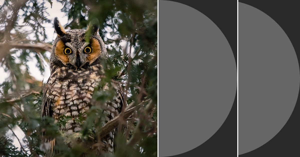 List: Self-Taught Developer | Curated by Dilip Bhapkar | Medium