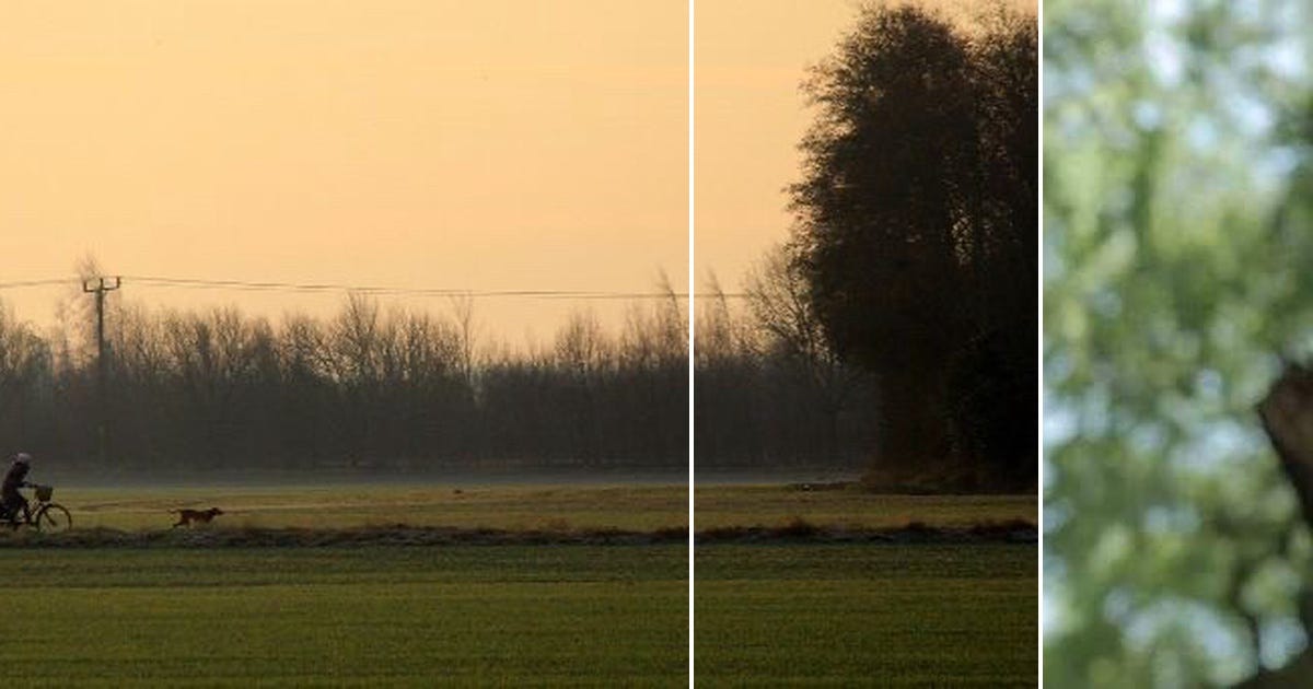 List: Reading list | Curated by hezz | Medium