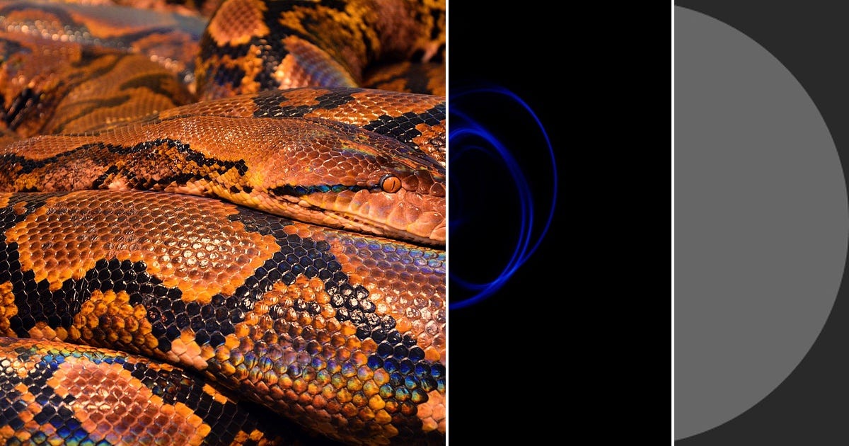 List: Python Foundations | Curated by Kerina Espinoza | Medium