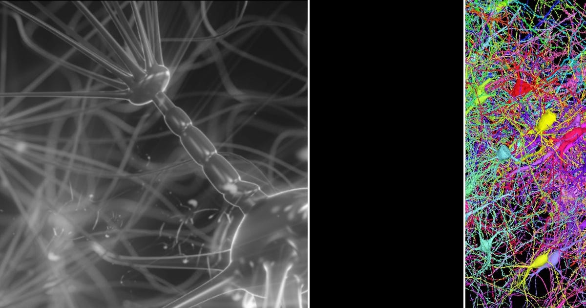 List: Brain Computer Interfaces | Curated by Juan Vera | Medium