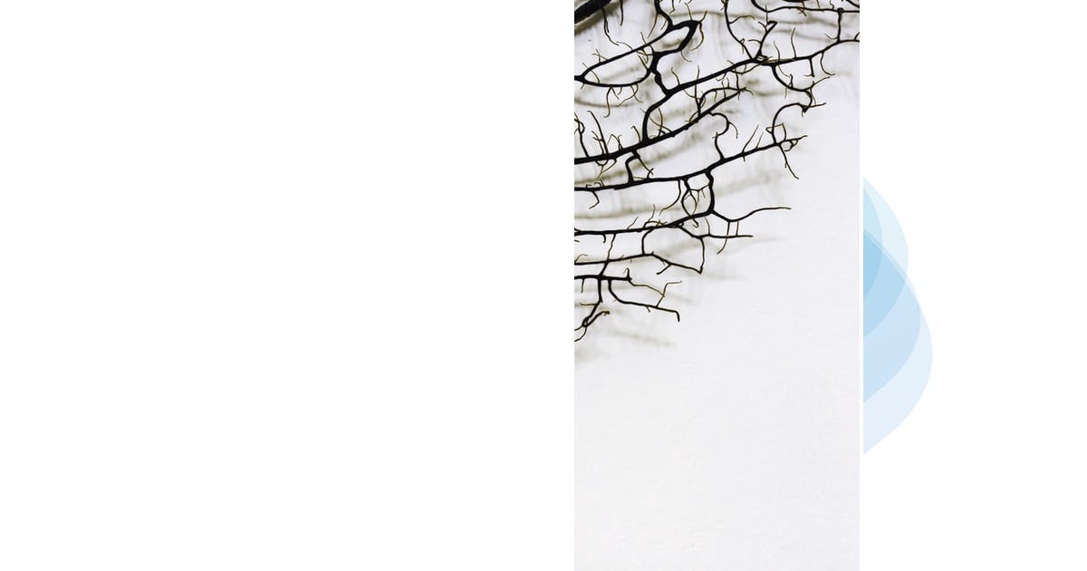 List: Software Engineering | Curated by Erdi Izgi | Medium