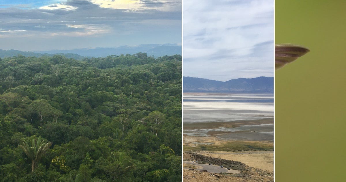 List: Environment | Curated by Kenny Minker | Medium