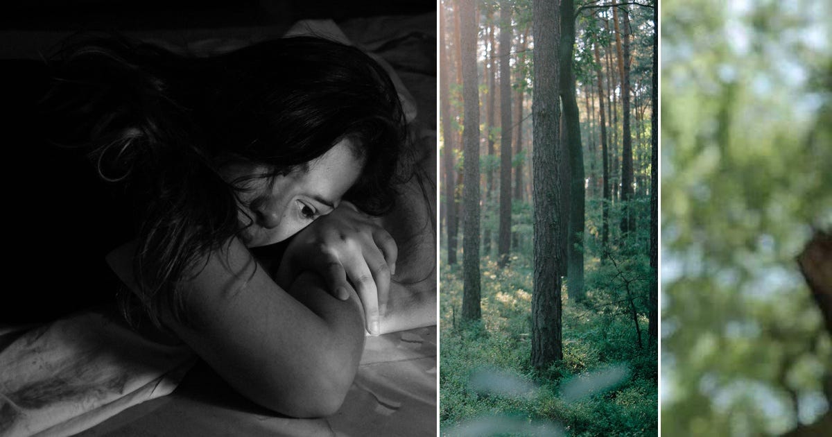 List: _ | Curated by rhian | Medium