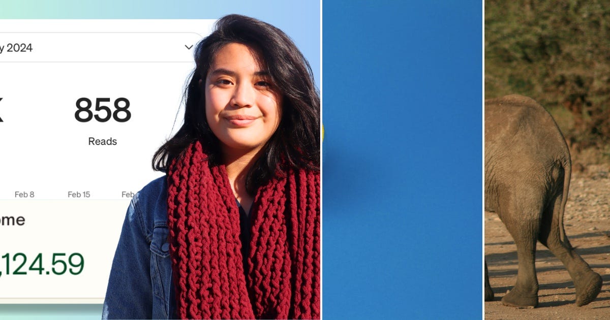 List: Reading list | Curated by Nikolai Pavlov | Medium