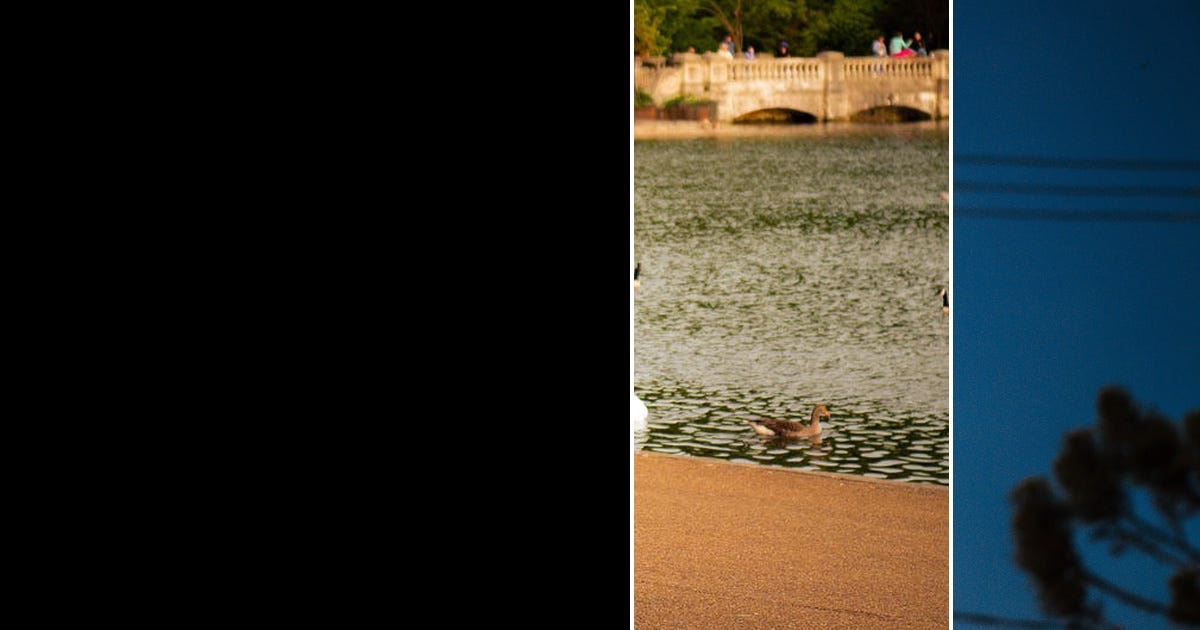 List: Previous Read | Curated by Nathaniel Serrano | Medium