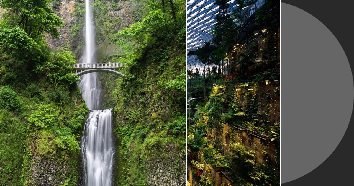 List: The Biophilia Hypothesis | Curated by Meredy | Medium