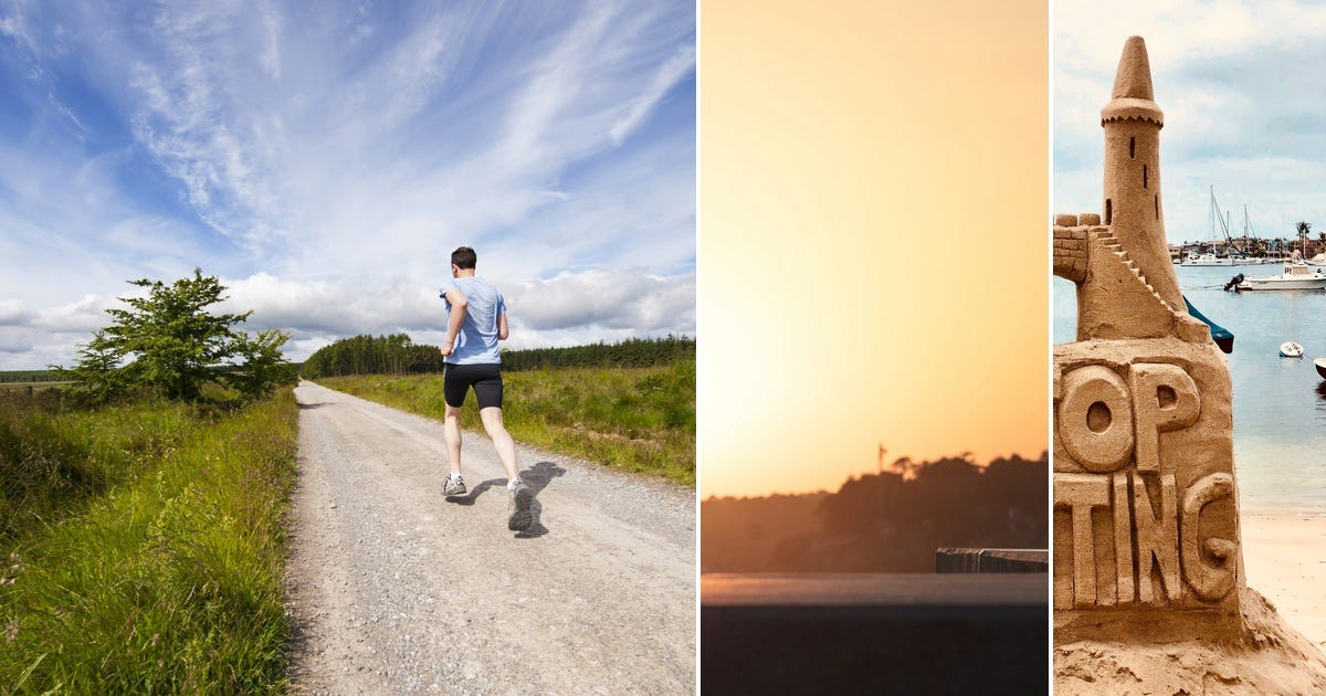 List: Mr. Mullet: Great Life! | Curated by Okamura Thomas | Medium