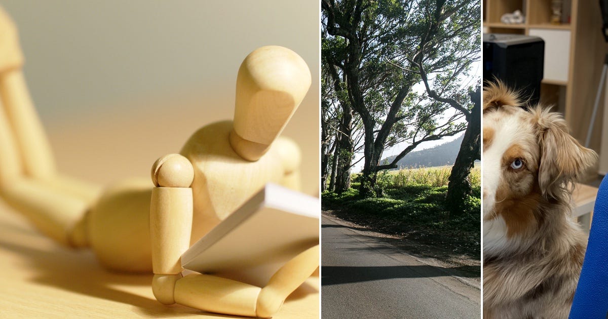 List: good article | Curated by KANGSUN LEE | Medium