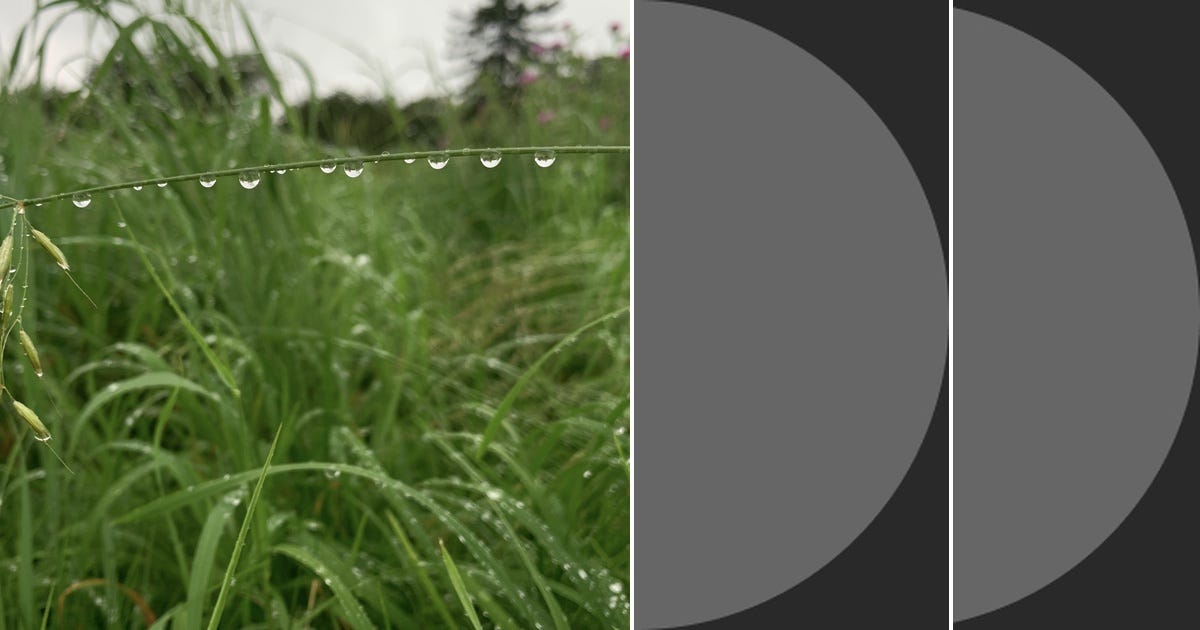 List: Simple Nature | Curated by Bara Andre | Medium