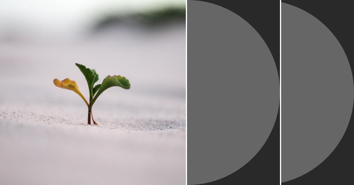 List: Java | Curated by Nathan Morris | Medium