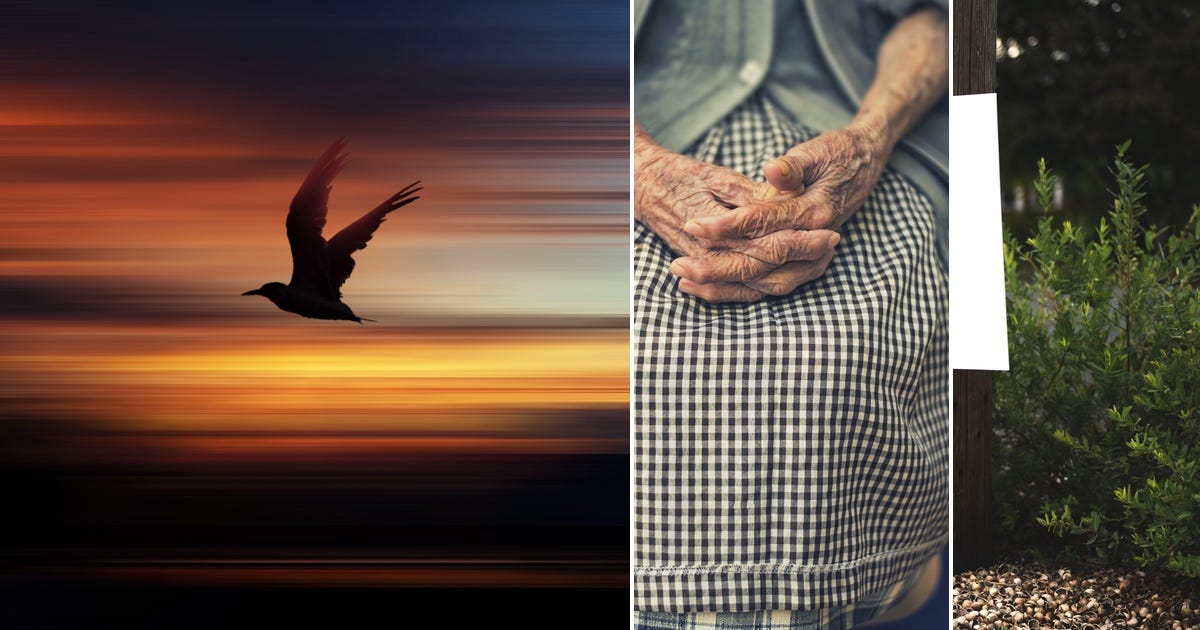 List: Short Stories and Impressions by Ani Vals | Curated by Ani Vals | Medium