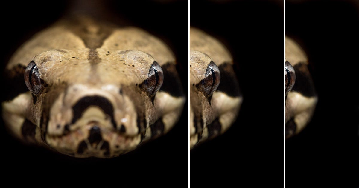 List: PyThon Projects | Curated by Ram Bikkina | Medium