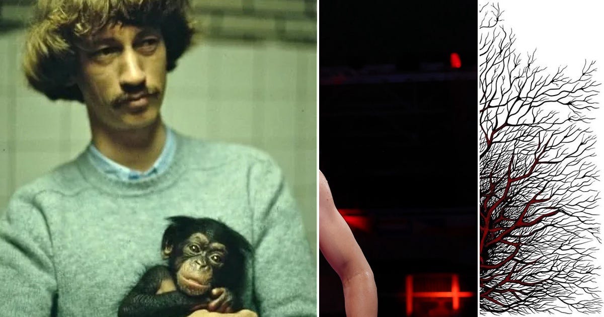 List: Poems | Curated by David Wakeham (dwtutoring) | Medium