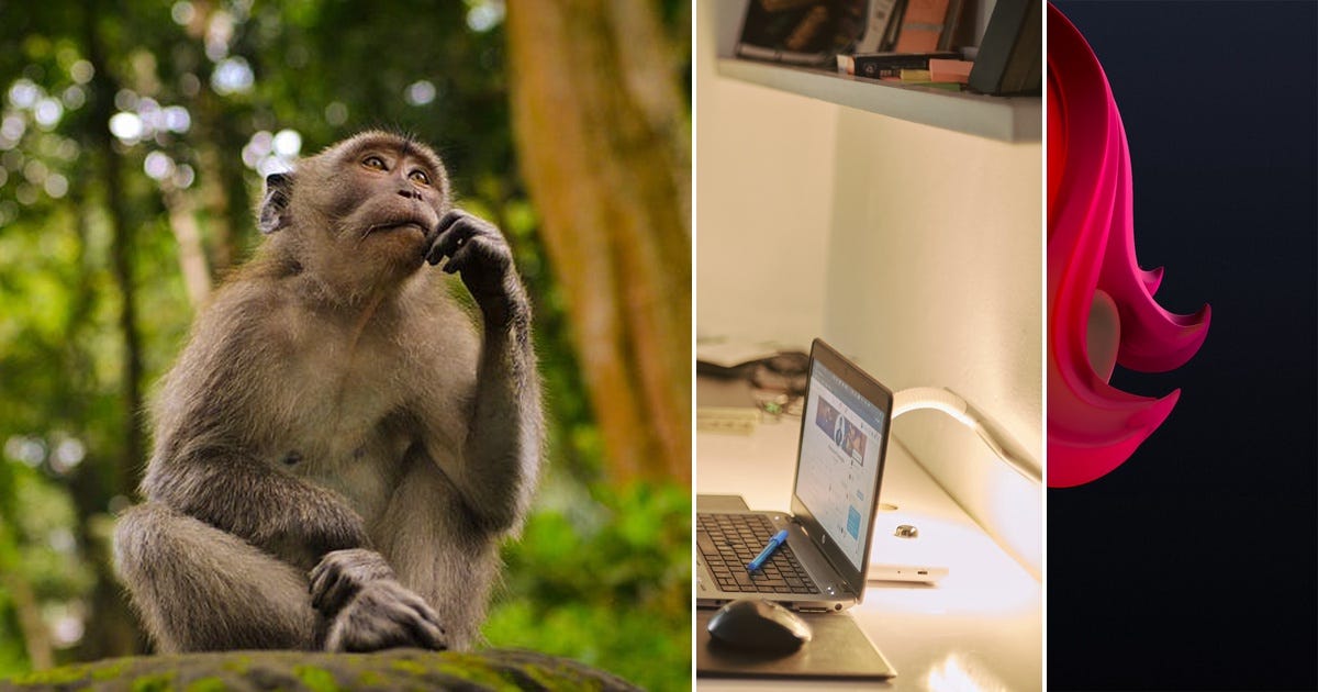 List: Inspiration | Curated by Nimish Jalan | Medium