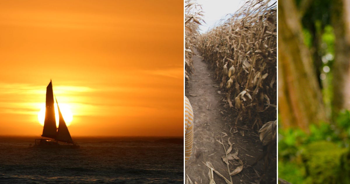 List: Life advice | Curated by Kyra | Medium