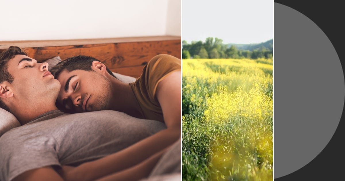 List: Queer | Curated by Kaleb Forseen | Medium