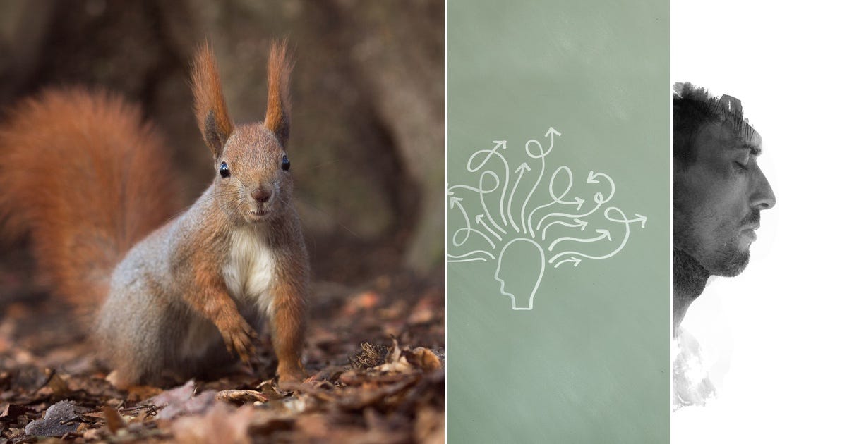 List: ADHD | Curated by Gregg Hinthorn | Medium