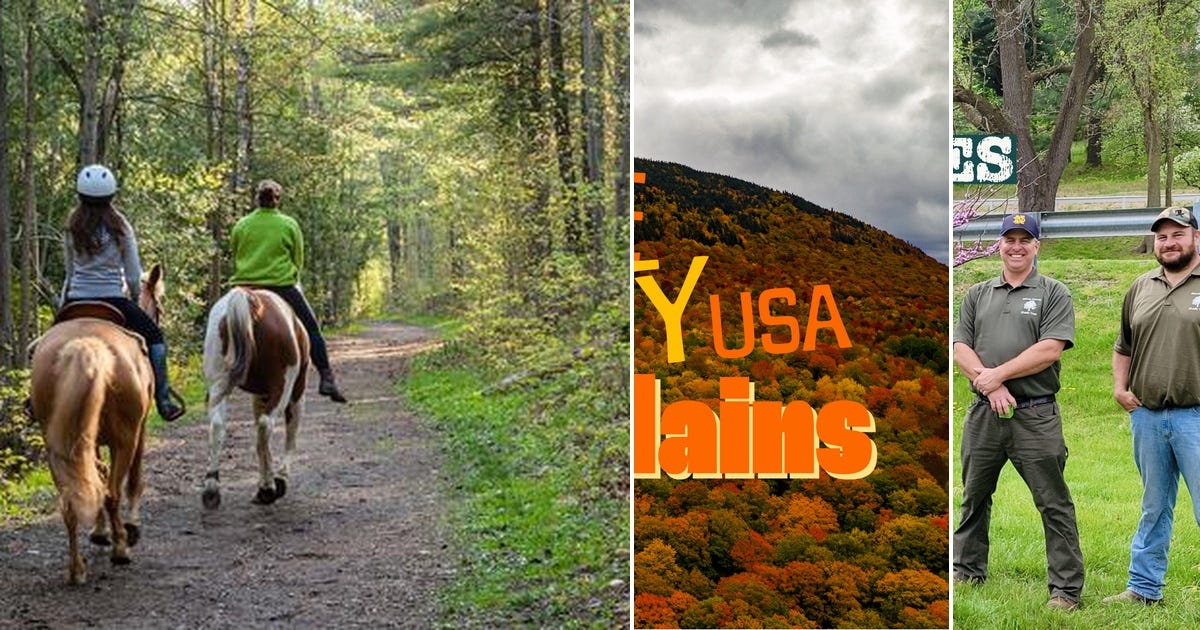 List: Environment | Curated by John Lang | Medium