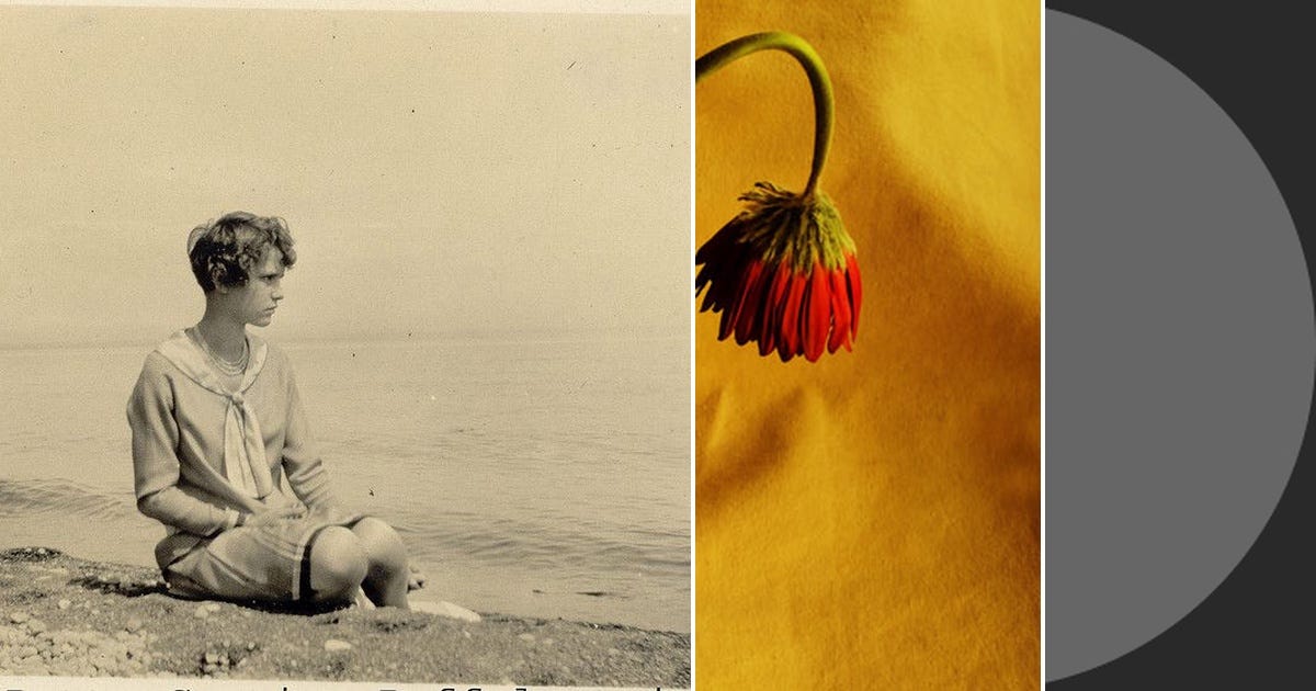 List: Análisis literarios personales | Curated by Fiona Pardo Lupardo ...