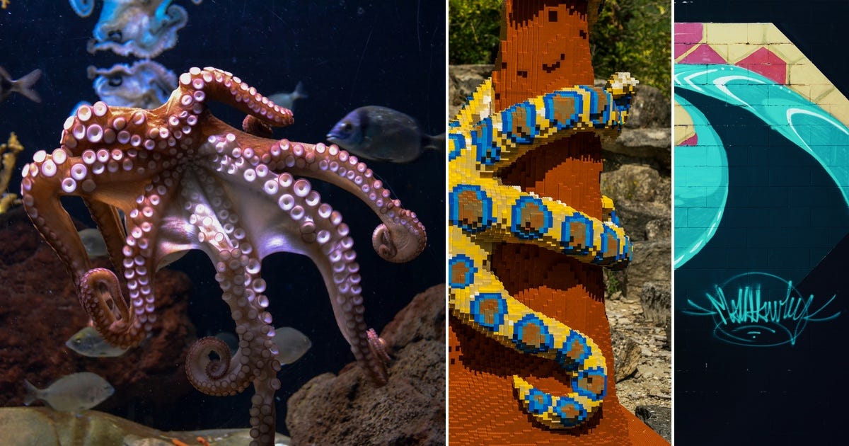 List: Octobits | Curated by Reiner Knapp | Medium