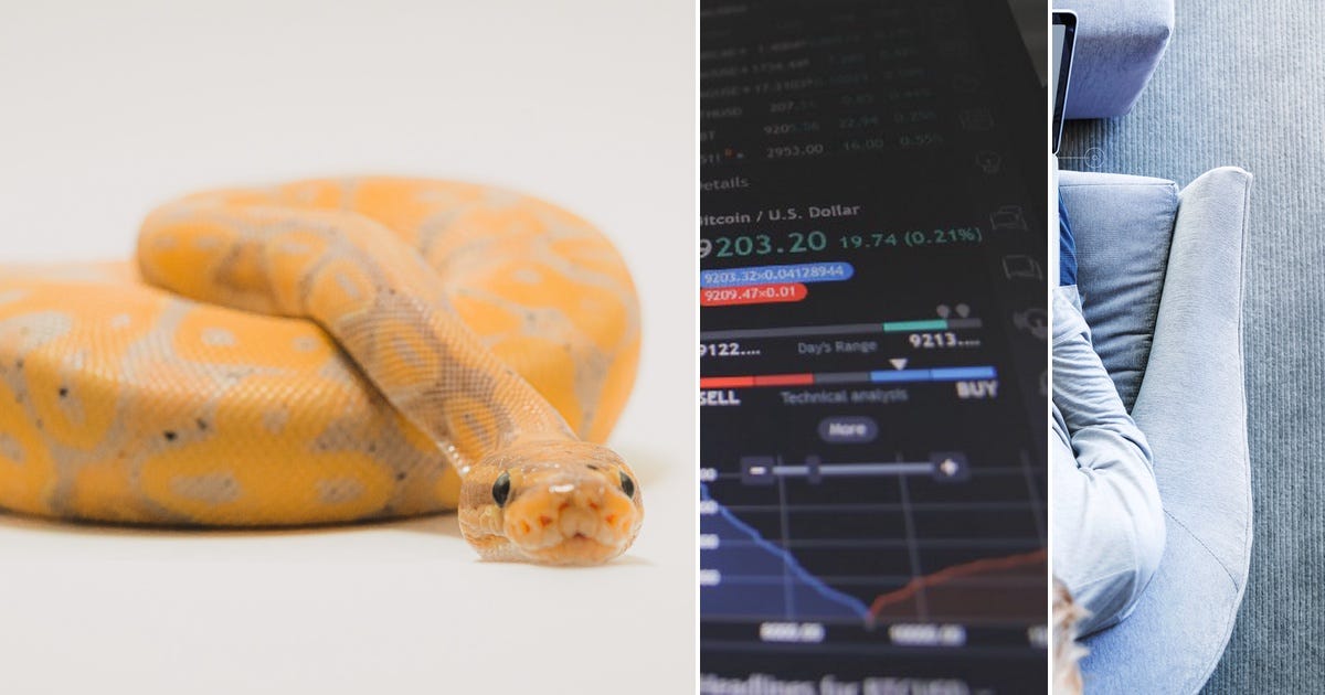 List: Mt4 python | Curated by Igoemikej | Medium