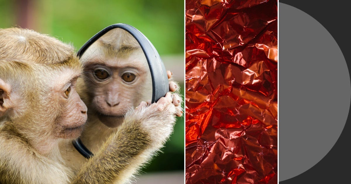 List: Menopause & Other Aging Shit | Curated by Marcia Abboud | Medium