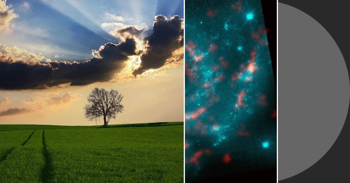 List: Online Learning | Curated by Or Zilberman | Medium