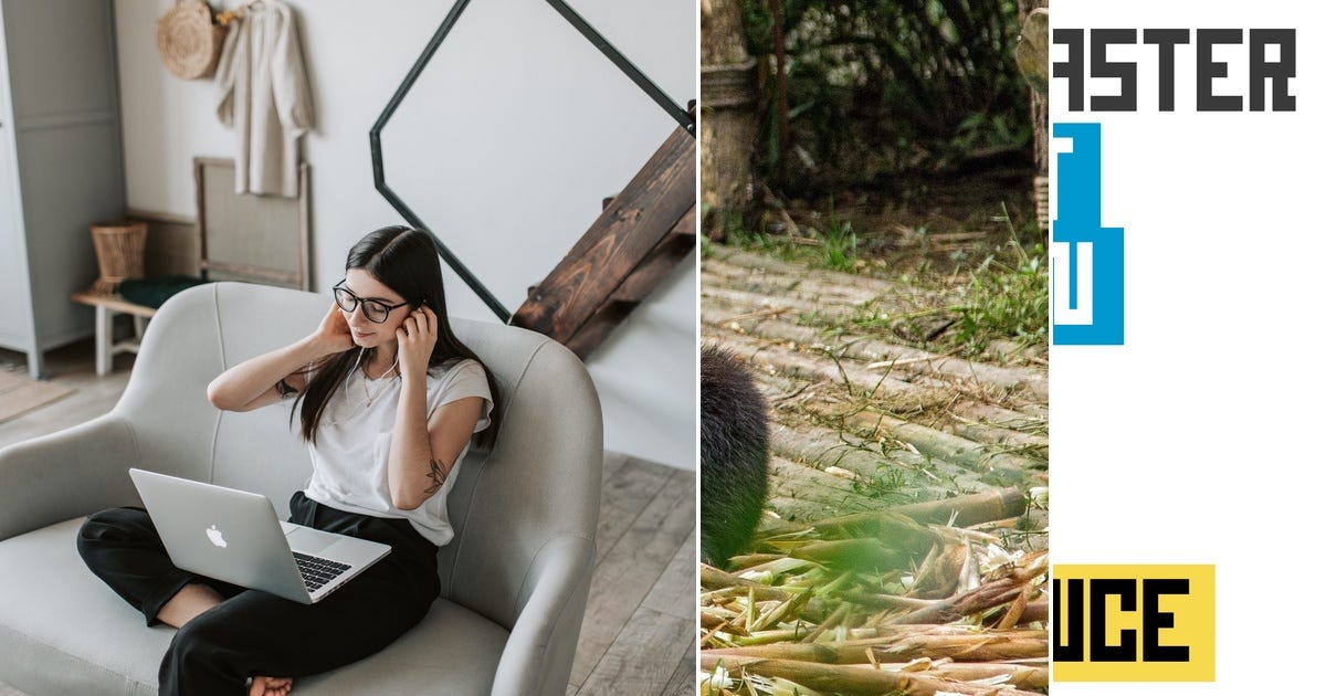 List: Python Tips and Tricks | Curated by Aazarjan | Medium