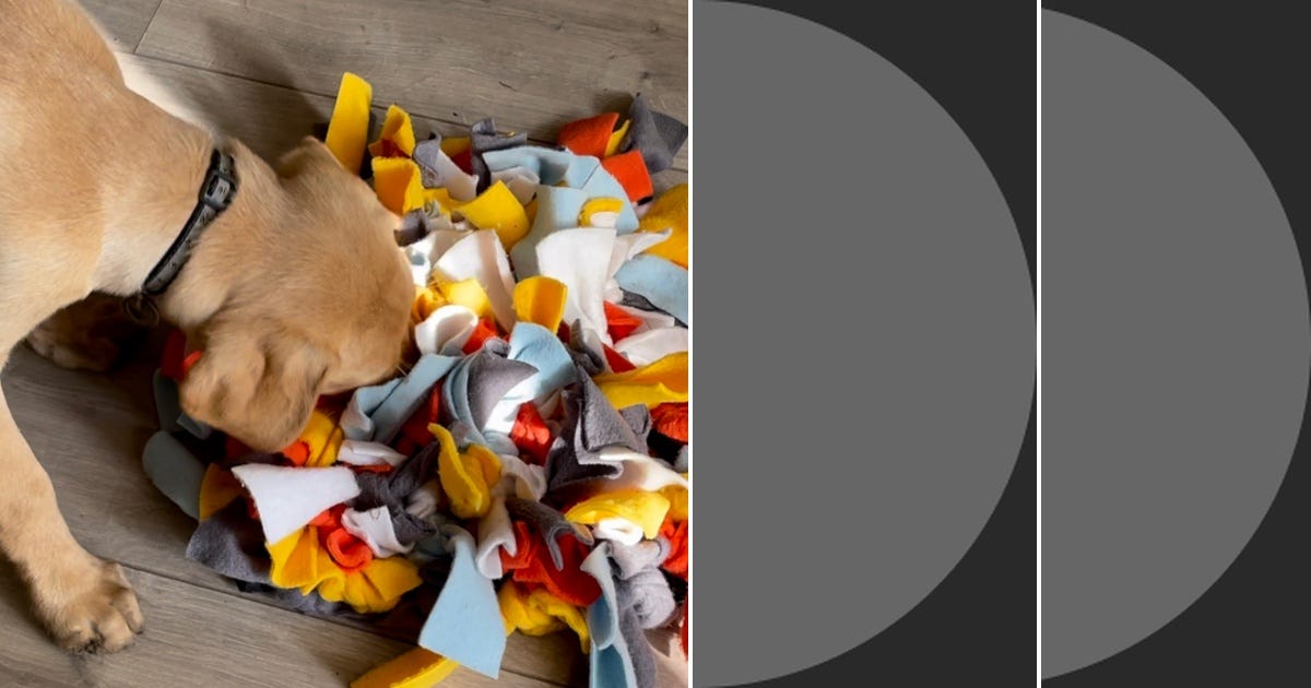 List: Show Me The Dog Fax | Curated by [BLANK] | Medium