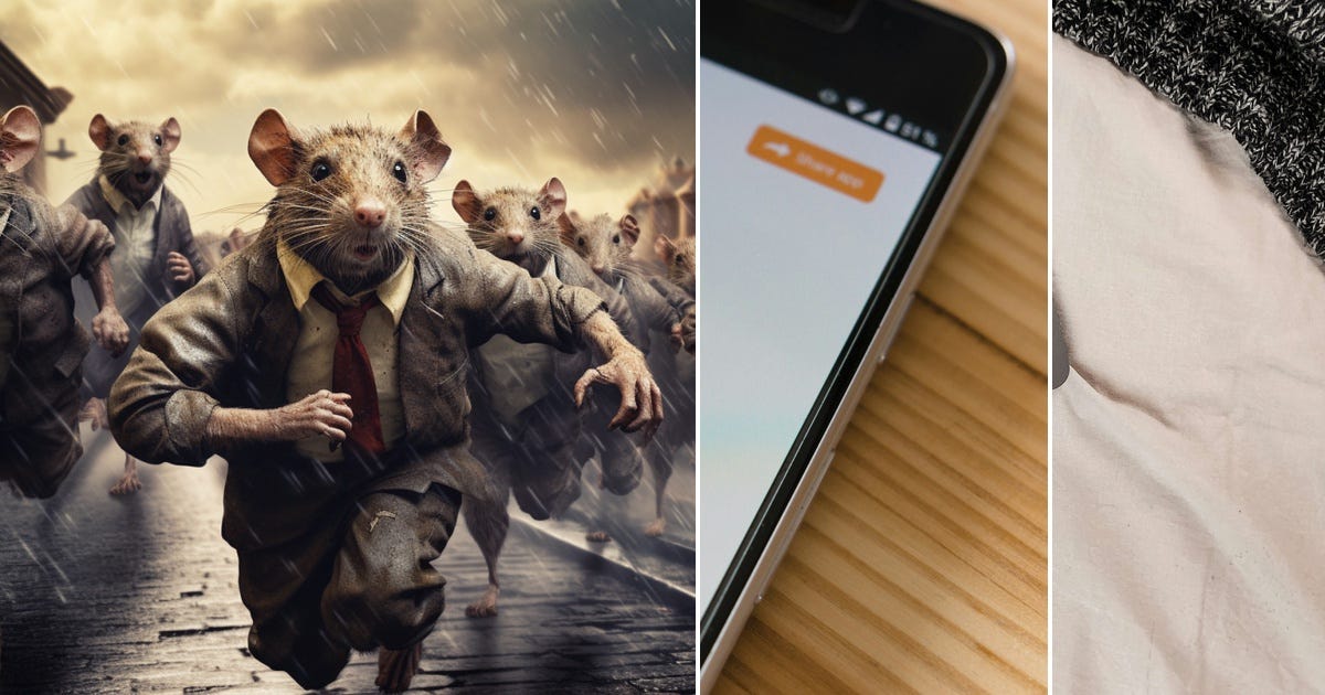 List: Jorbs | Curated by John Connor | Medium